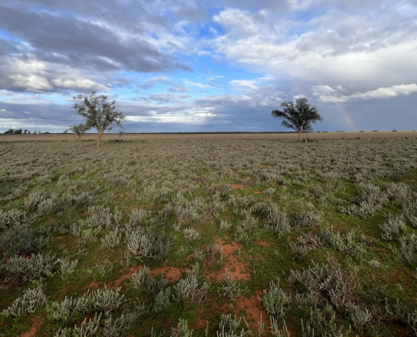 Wind Projects – DP Energy